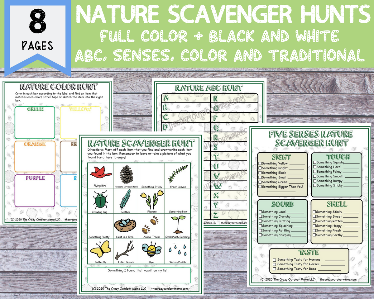 Nature Scavenger Hunts (ABC, Senses, Color and Traditional) [Printable ...