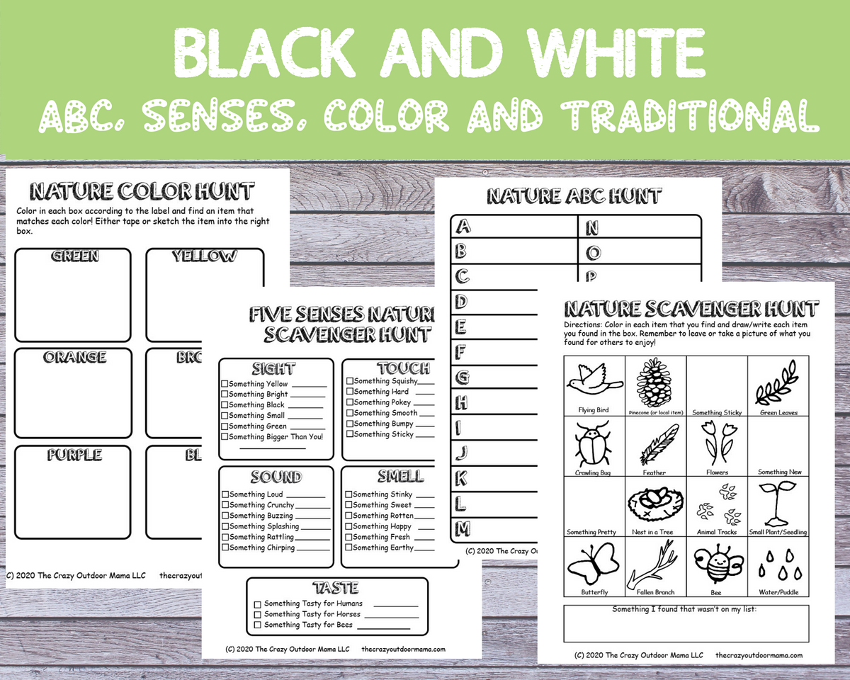 Nature Scavenger Hunts (ABC, Senses, Color and Traditional) [Printable ...